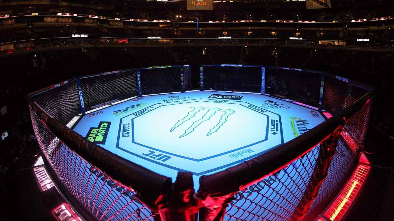 A Big Spotlight on the Bold UFC Plan You Need to Know