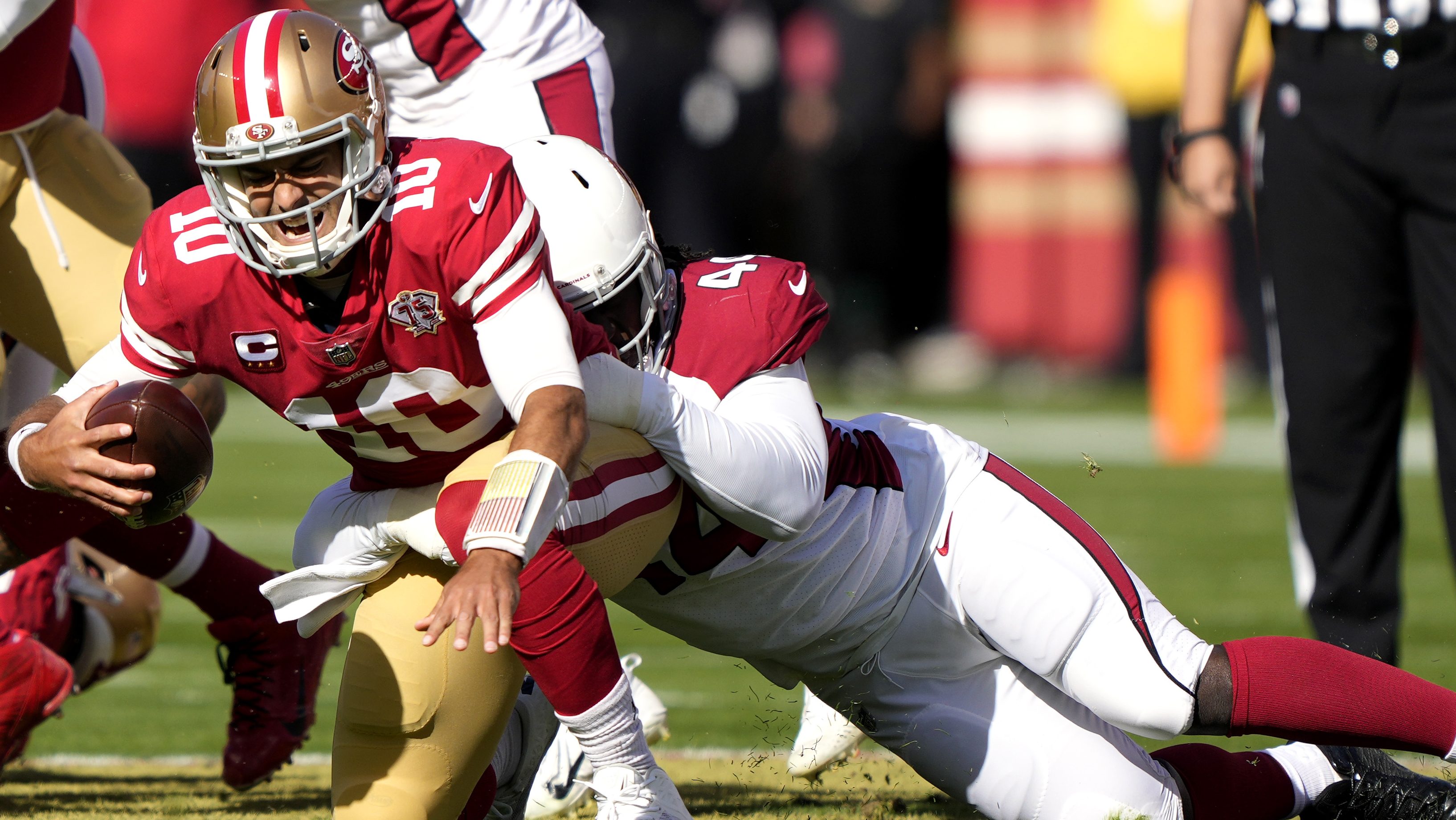 Legendary 49ers Blast the 2021 Team: 'There's no Dogs'