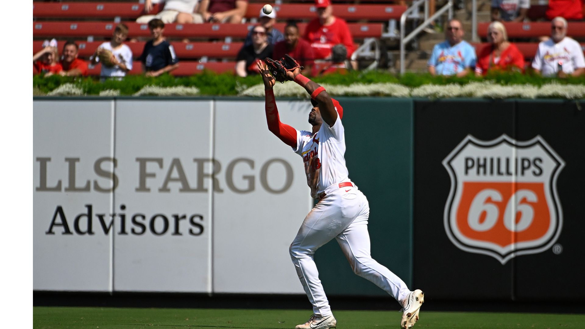Potential Knee Injury is Latest Setback for Cardinals Outfielder - HEAVY