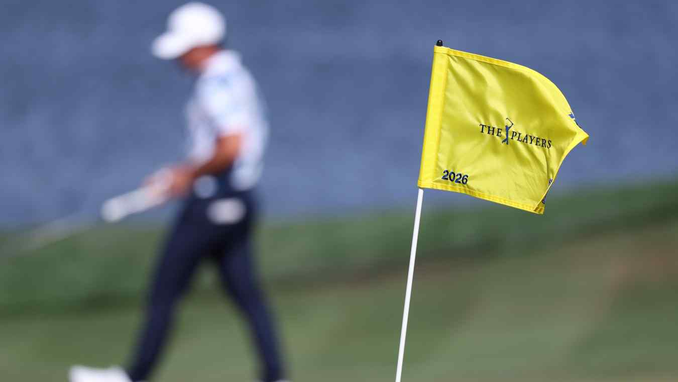 PGA Tour: Seagull and Golf Ball Square Off at The Players 2026 - HEAVY