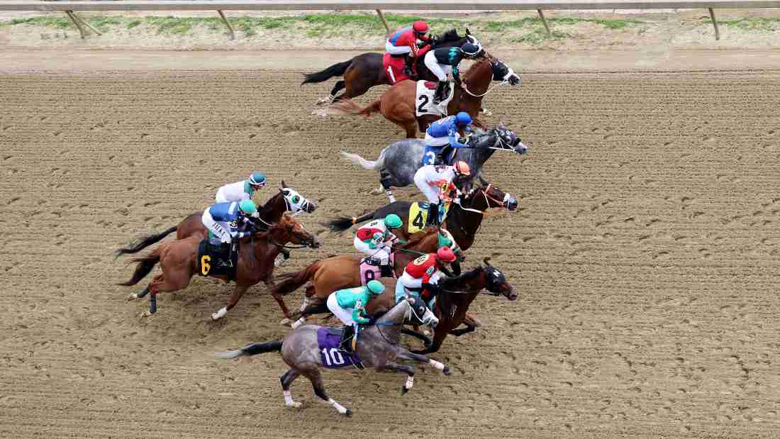 2026 Preakness Stakes Post Positions: Full Field, Latest Withdrawals