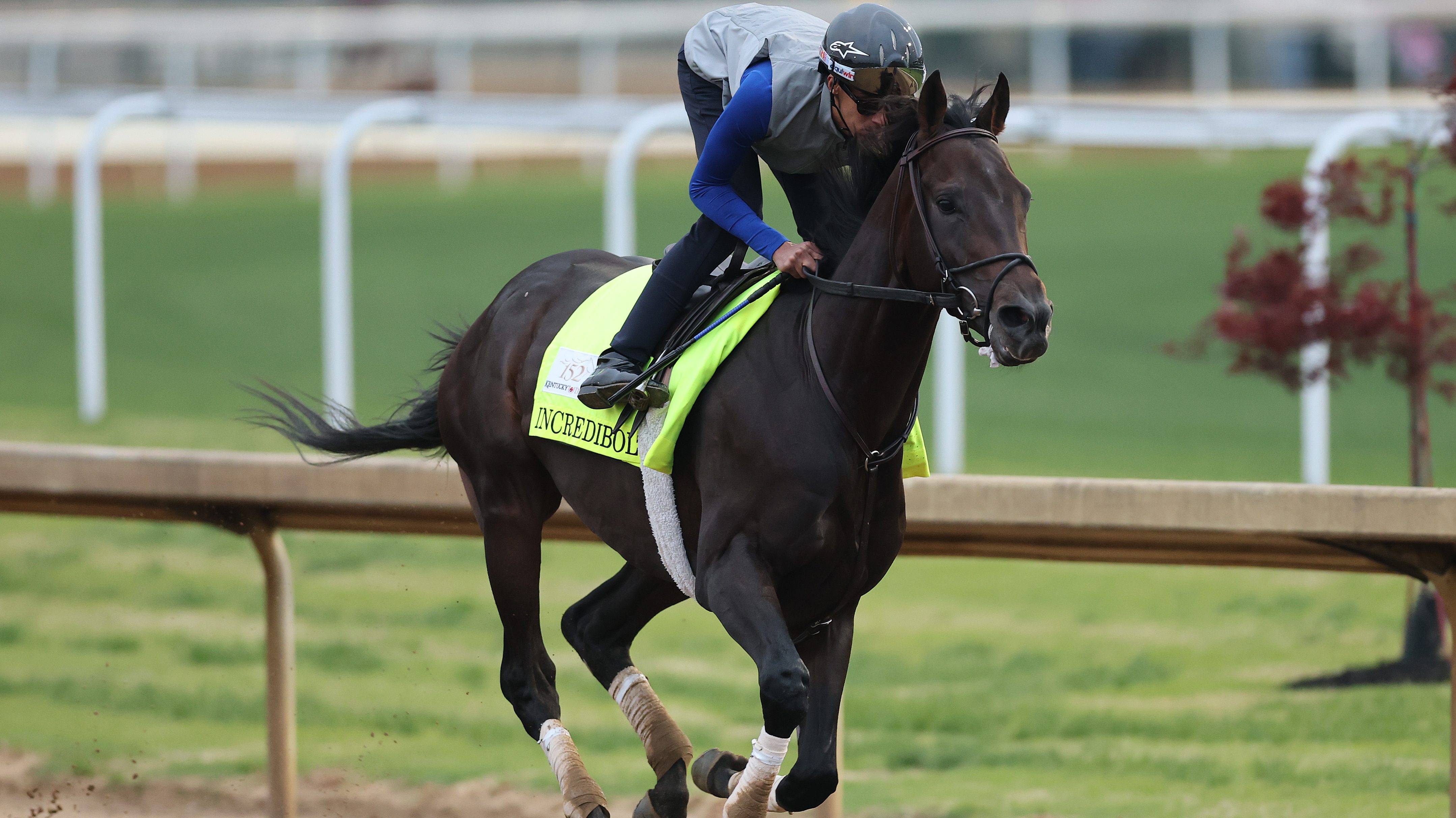 Incredibolt Officially Added to Preakness Following Silent Tactic ...