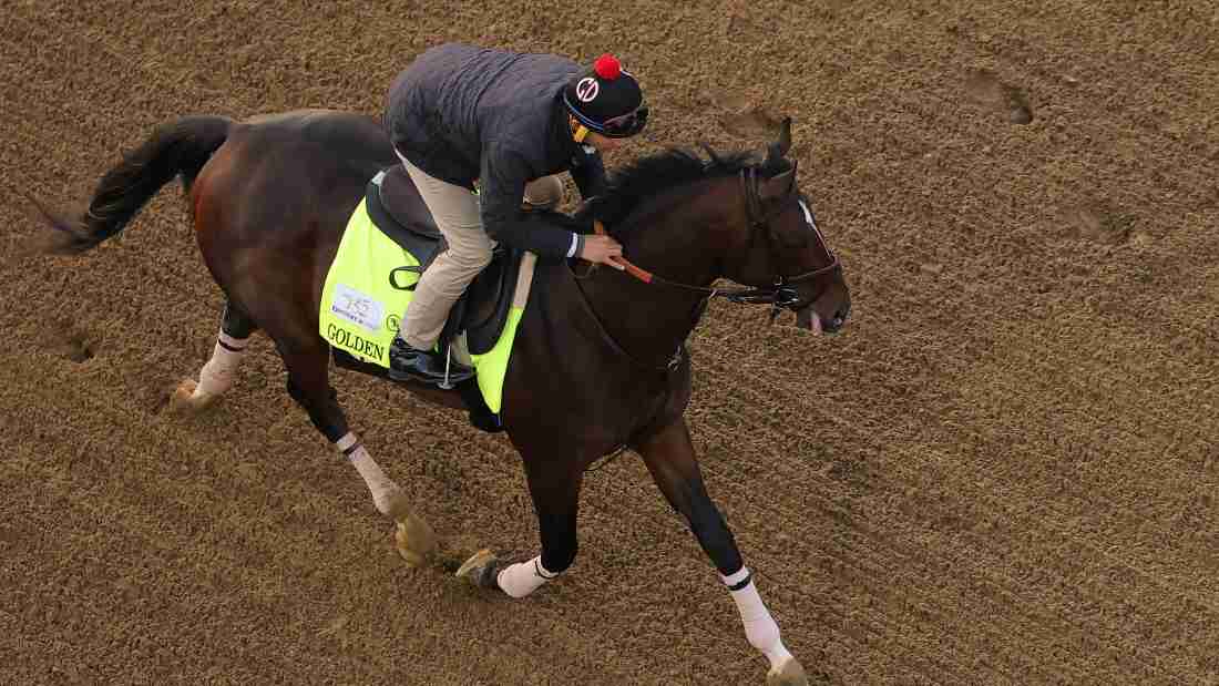 Preakness 2026: Golden Tempo, Great White, Odds & Winner List