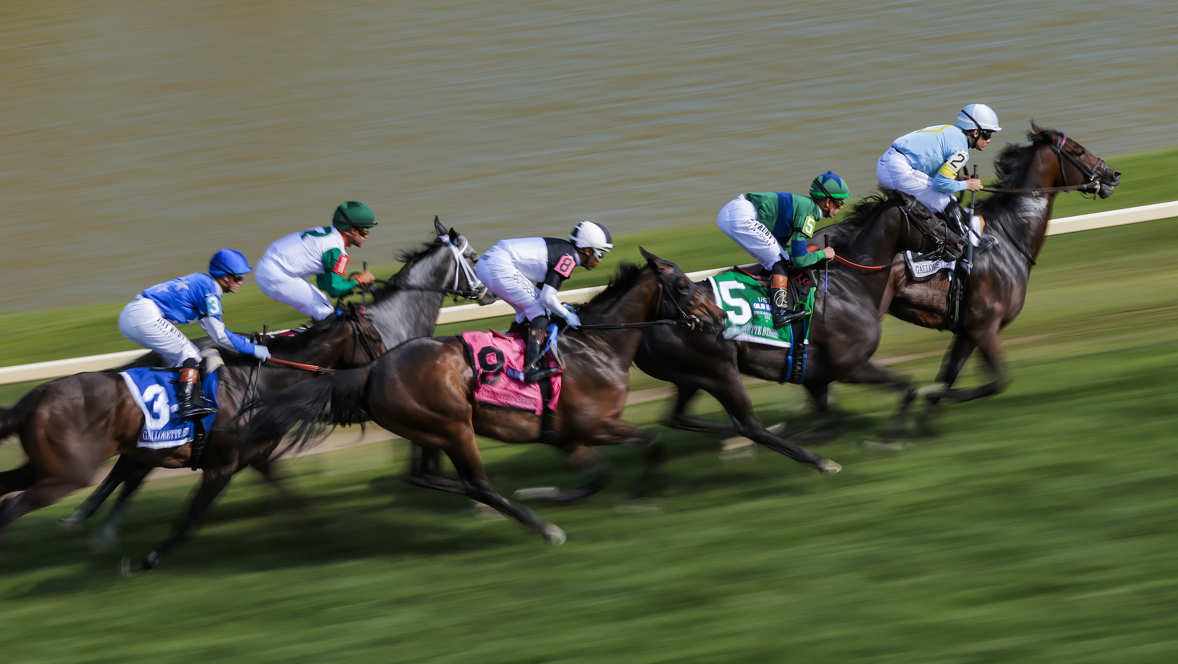 Preakness 2026 Results And Payouts After Napoleon Solo Win