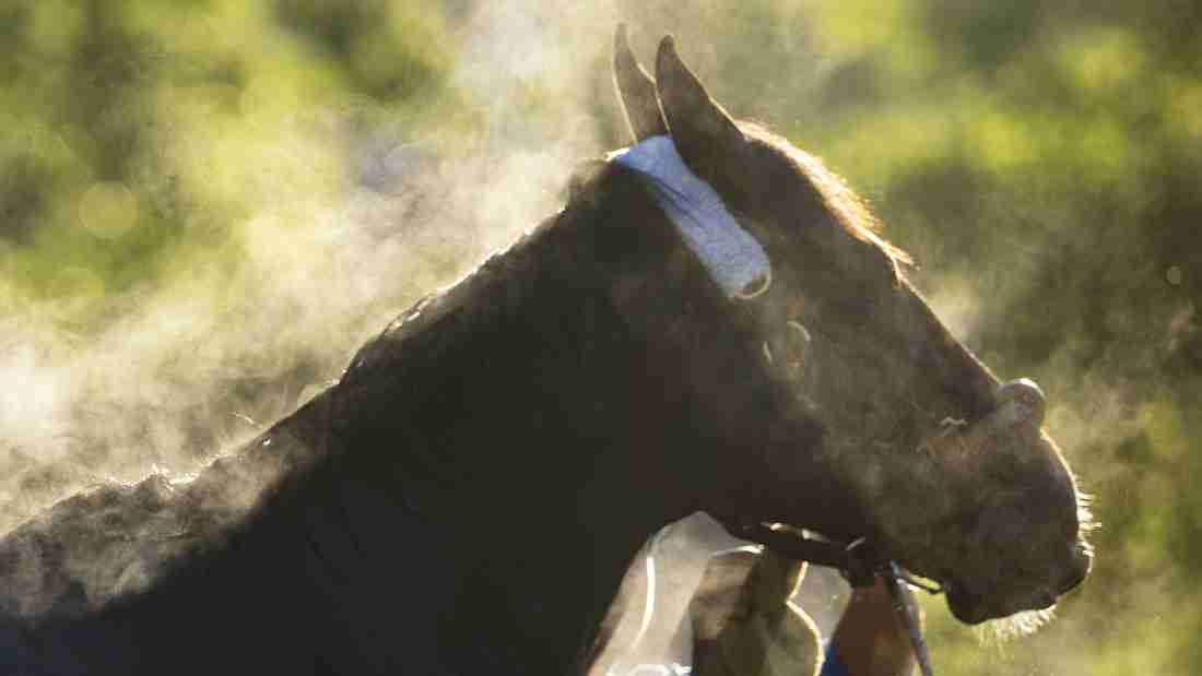 Belmont Stakes 2026: Race Schedule & Post Times