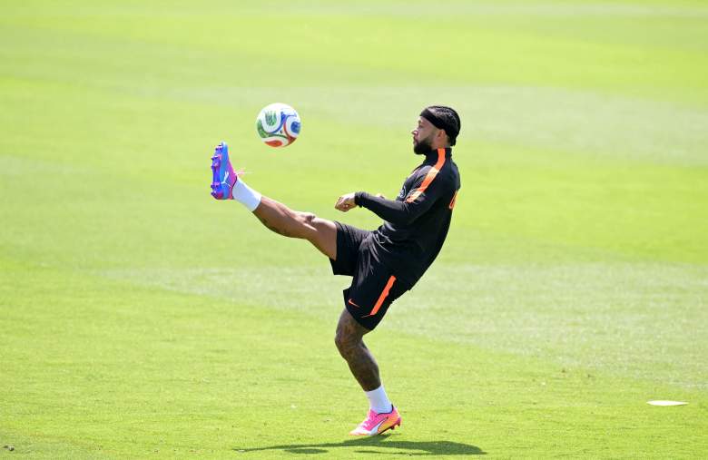 Netherlands vs Japan Live Today: Injury Update Brings Mixed News Before ...