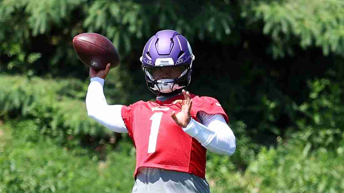 Minnesota Vikings News, Trade Rumors, Injury Report, Depth Chart