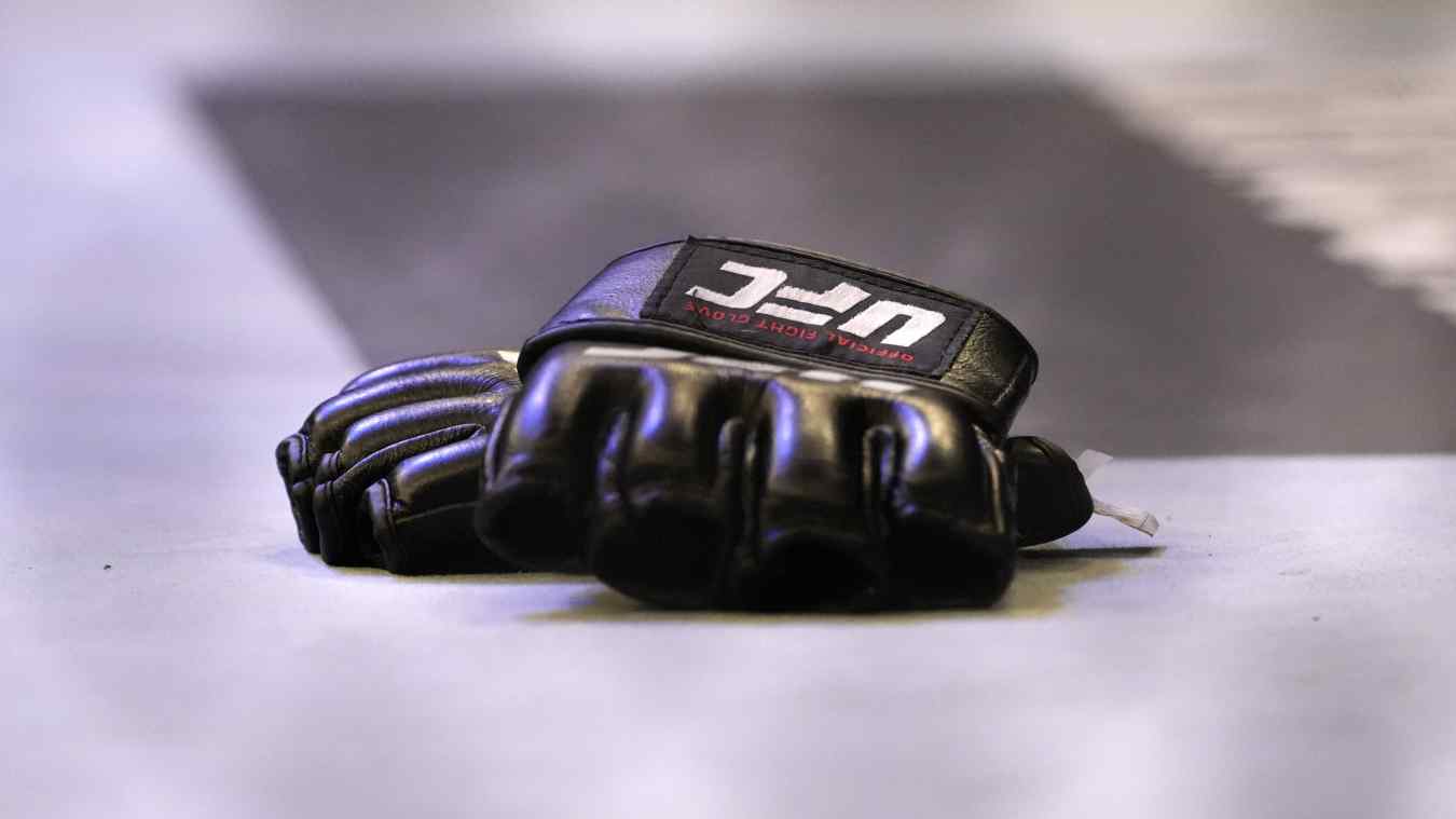 80-Fight UFC Veteran Announces Retirement Fight